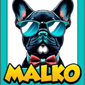 MALKO Funko Pop Protector | Sturdy 0.5 MM Thick Recyclable Plastic | Funko Pop Display Case Compatible with Funko Pop! 4 inch Figures | 20 Pack