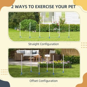 PawHut Adjustable Dog Agility Training Obstacle Course Set with Weaves Poles Storage Bag for Pet Dogs Outdoor Games Exercise