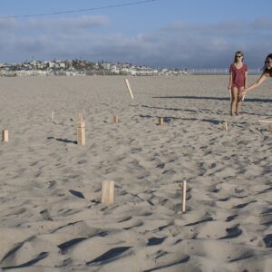 Yard Games Kubb Regulation Size Outdoor Tossing Game with Carrying Case, Instructions, and Boundary Markers