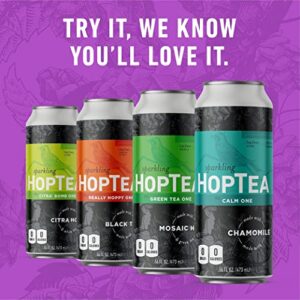 HOPLARK Sparkling HopTea - The Core Variety Pack - Craft Brewed NA Beer Alternative - Organic, Gluten-Free, Non GMO, Zero Calories, Sugar-Free, Unsweetened (12, 16oz Cans)