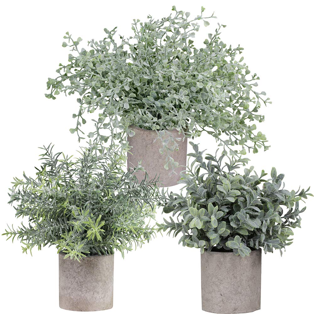 Winlyn Mini Potted Plants Artificial Flocked Eucalyptus Boxwood Rosemary Greenery in Pots Faux Potted Herbs Small Houseplants 8.8"-10" Tall for Indoor Greenery Tabletop Décor Centerpiece 3 Pack