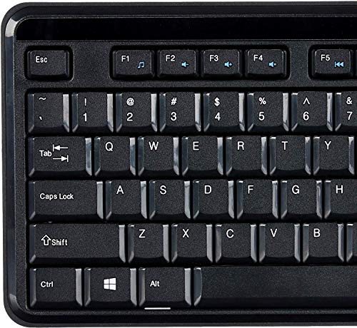 Amazon Basics 2.4GHz Wireless Keyboard Quiet and Compact US Layout (QWERTY), Black, Modern