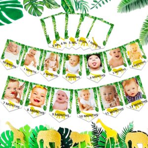 jevenis jungle gold monthly photo banner wild one monthly photo banner safari first birthday banner monthly photo banner zoo jungle banner