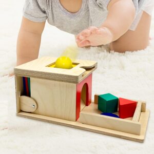 Templeton Montessori Wooden Shape Sorter & Object Permanence Toy with New Stay-Put Swappable Shape Templates