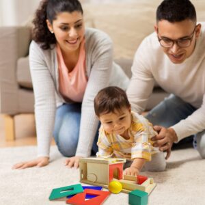 Templeton Montessori Wooden Shape Sorter & Object Permanence Toy with New Stay-Put Swappable Shape Templates