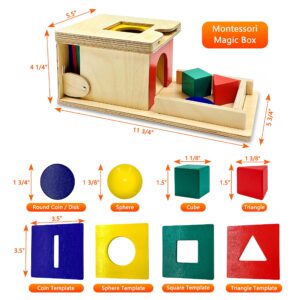 Templeton Montessori Wooden Shape Sorter & Object Permanence Toy with New Stay-Put Swappable Shape Templates