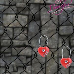 2Pcs Wire Rope Heart Shape Love Lock 3 Digital Combination Padlock Resettable Password for Travel Bags