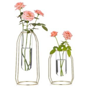 2 pcs flower vases with iron art frame, geometric plant pot, centerpiece plant vase, plants tabletop display holder for wedding table office living room decor (gold, s+l)