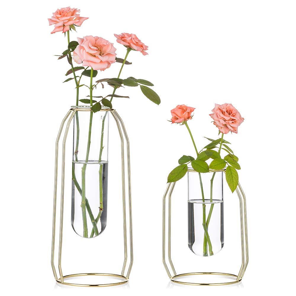 2 Pcs Flower Vases with Iron Art Frame, Geometric Plant Pot, Centerpiece Plant Vase, Plants Tabletop Display Holder for Wedding Table Office Living Room Decor (Gold, S+L)