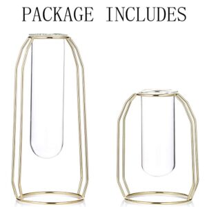 2 Pcs Flower Vases with Iron Art Frame, Geometric Plant Pot, Centerpiece Plant Vase, Plants Tabletop Display Holder for Wedding Table Office Living Room Decor (Gold, S+L)