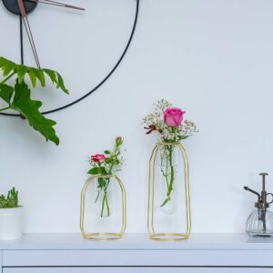 2 Pcs Flower Vases with Iron Art Frame, Geometric Plant Pot, Centerpiece Plant Vase, Plants Tabletop Display Holder for Wedding Table Office Living Room Decor (Gold, S+L)