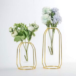 2 Pcs Flower Vases with Iron Art Frame, Geometric Plant Pot, Centerpiece Plant Vase, Plants Tabletop Display Holder for Wedding Table Office Living Room Decor (Gold, S+L)