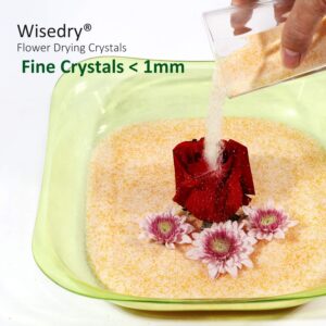 wisedry Silica Gel Flower Drying Crystals - 5 LBS, Color Indicating, Reusable