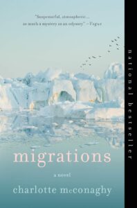 migrations: a novel