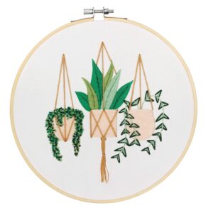 3 Pack Embroidery Starter Kit with Pattern, Kissbuty Full Range of Stamped Embroidery Kit Including Embroidery Fabric with Pattern, Bamboo Embroidery Hoops, Color Threads and Tools Kit (Floral Plants)