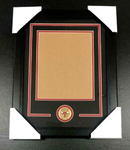 chicago bulls medallion frame kit 8x10 photo double mat vertical