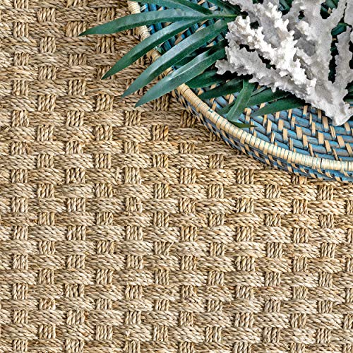 nuLOOM Hesse Checker Weave Seagrass Indoor/Outdoor Accent Rug, 3x5, Natural