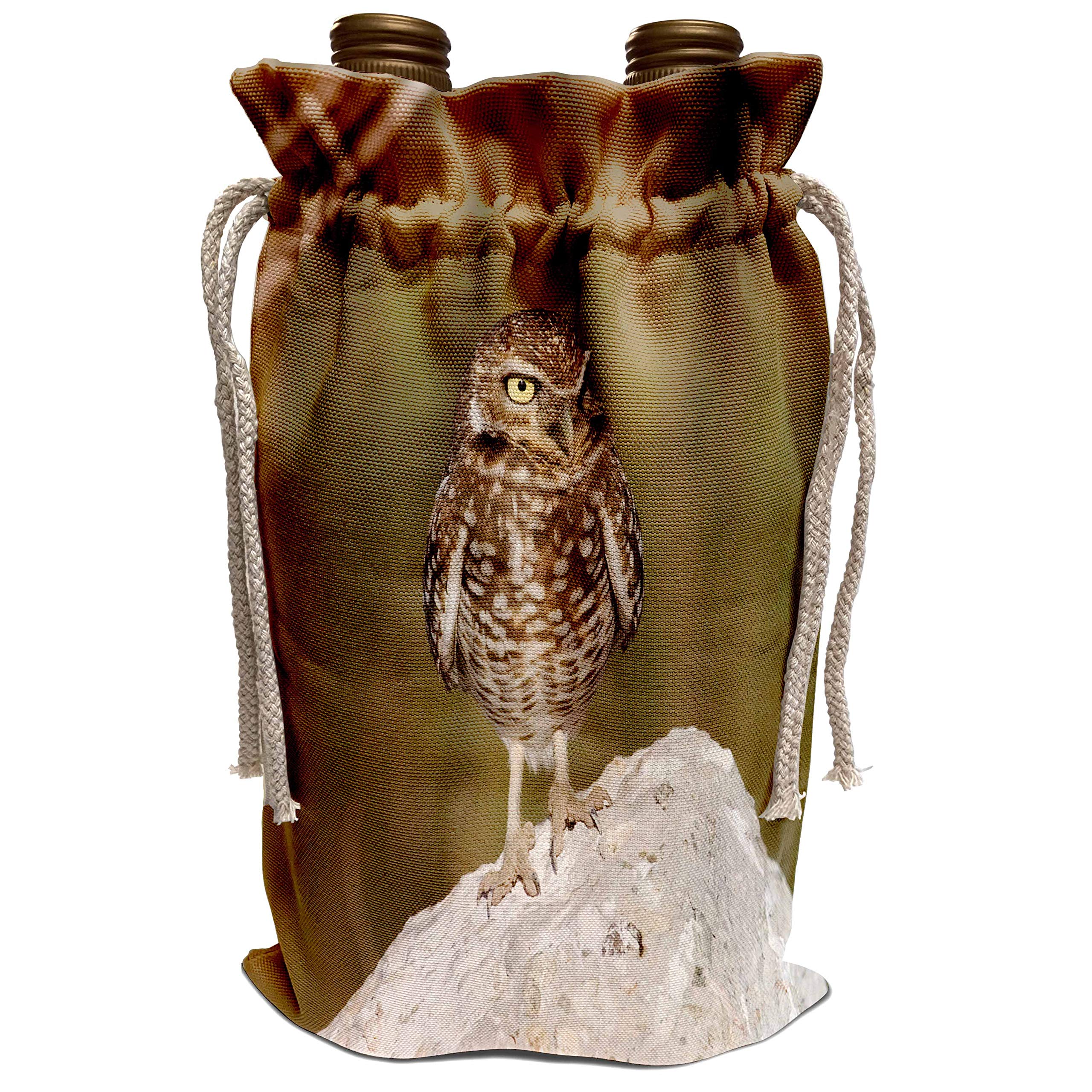 3dRose Danita Delimont - Owls - California, Salton Sea area, Burrowing Owl - US05 DJO0113 - Diane Johnson - Wine Bag (wbg_88386_1)