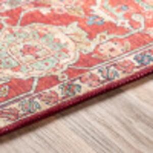 Livabliss Lyyti Area Rug 2'6" x 7'6", 2 ft 6 in x 7 ft 6 in, Bright Red/Blue