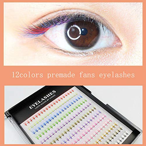 Hannahool 12 Colors Mix 240pcs 10D Premade Fans Nature Long Volume Eye Lashes Extensions Soft and Light Weight Colorful Individual False Eyelashes Cluster 8-16mm to Choose (14mm)