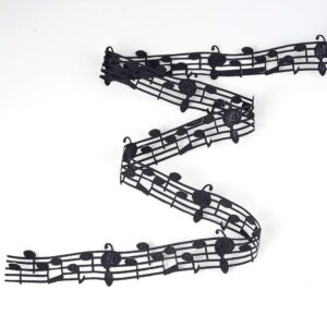 PH PandaHall Music Note Ribbon 20 Yard Music Party Decoration 30mm Rock and Roll Party Decorations Hollow Cut Out Music Note Clothing Trim for Scrapbooking Music Party Birthday Wedding Decor, Black