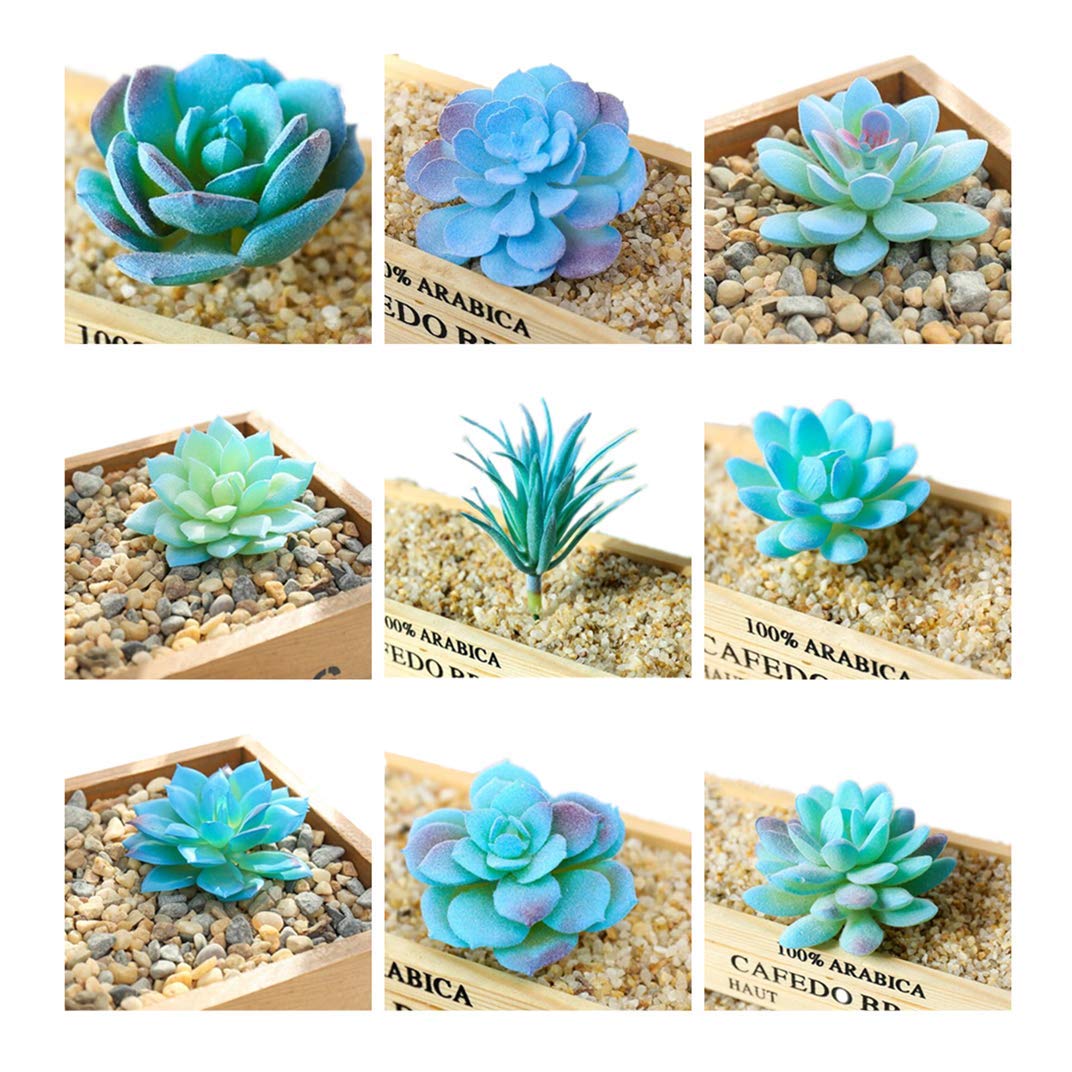 Veronica Key Artificial Blue Succulent Plants Plastic Fake Flower Arrangement for Home Garden Office Desk Decoration Pack of 10