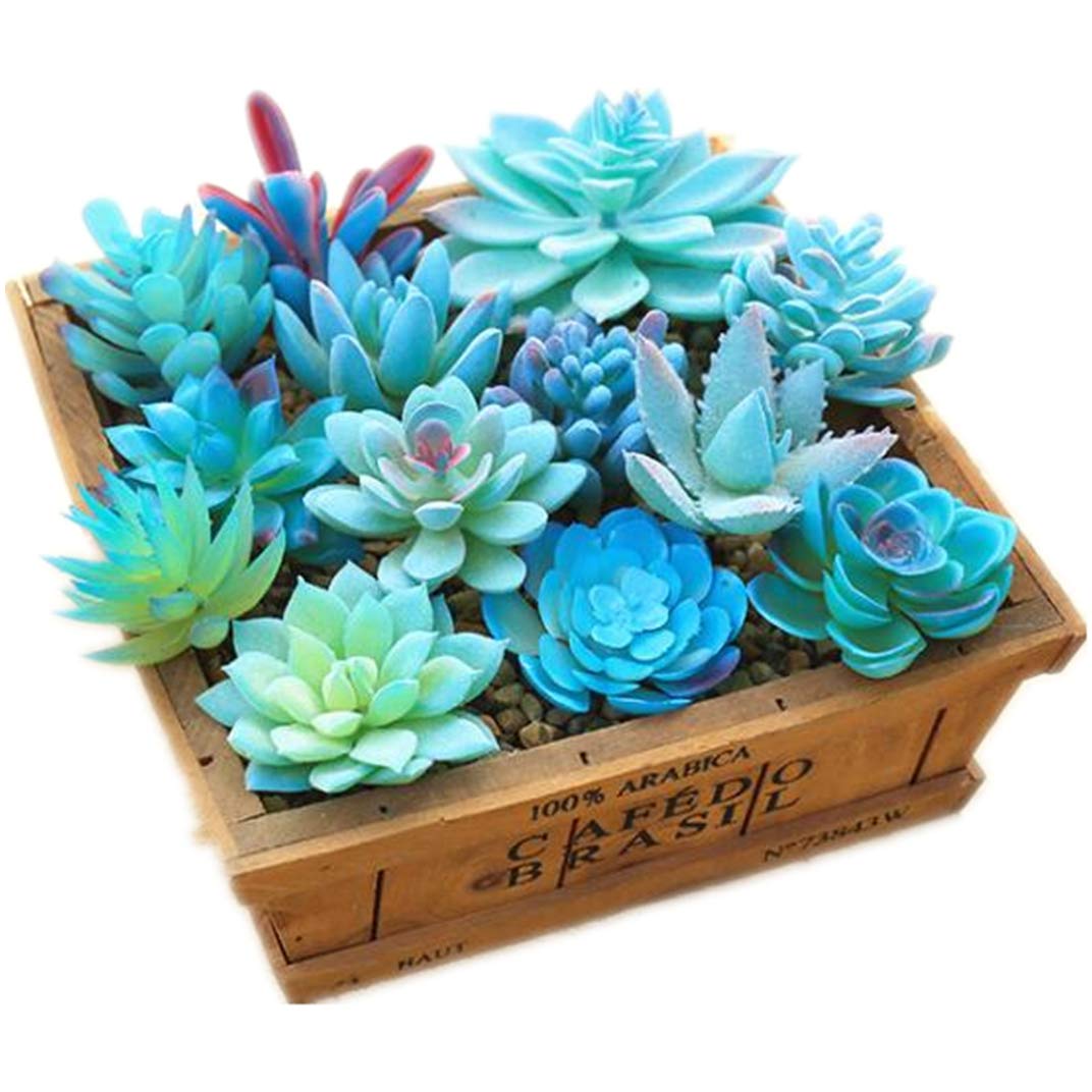 Veronica Key Artificial Blue Succulent Plants Plastic Fake Flower Arrangement for Home Garden Office Desk Decoration Pack of 10