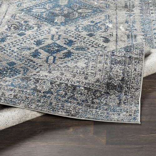 Livabliss Desta Vintage Oriental Area Rug,5'3" x 7'3",Blue/Grey