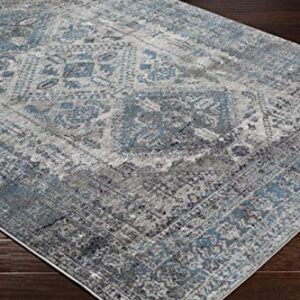 Livabliss Desta Vintage Oriental Area Rug,5'3" x 7'3",Blue/Grey