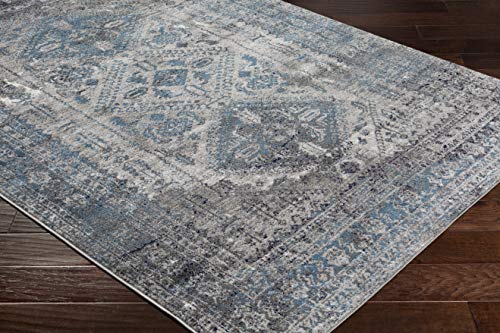 Livabliss Desta Vintage Oriental Area Rug,5'3" x 7'3",Blue/Grey