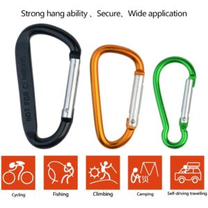 20 Pack Carabiners Clips with Keychain D Ring Caribeaner Clip Hook for Backpack Water Bottle Key Home RV Outdoor Small Item (3 Style)