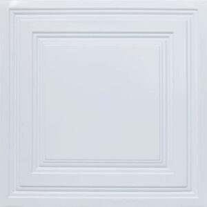 from plain to beautiful in hours 232 economy pvc lay-in ceiling tile 2 ft. x 2 ft., white, 10 pack