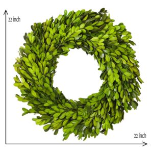 Boxwood Wreath X-Larger 22 inch Preserved Nature Boxwood Wreath Home Decor Stay Fresh for Years for Door Wall Window Party Décor Spring Summer Fresh Green Wreath