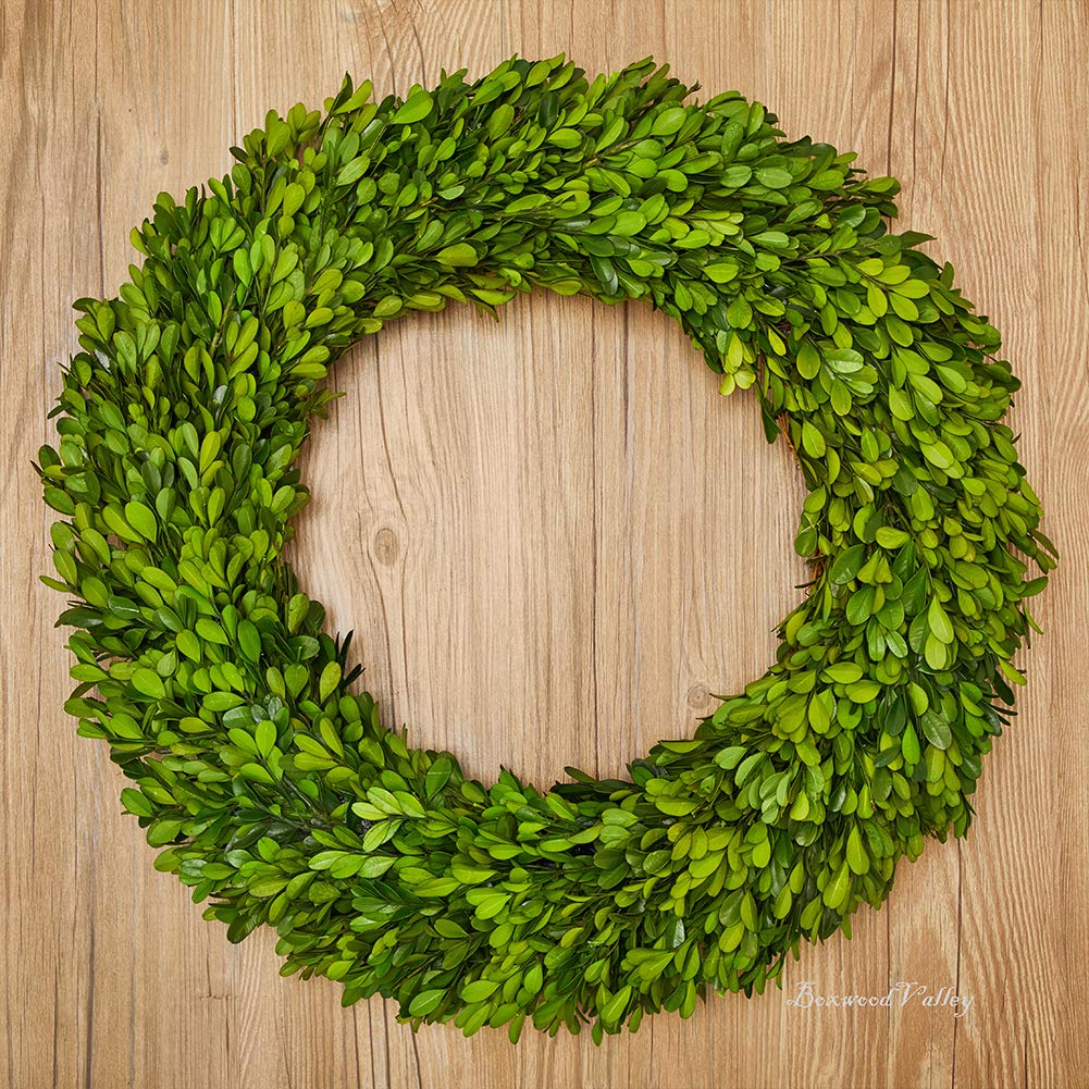 Boxwood Wreath X-Larger 22 inch Preserved Nature Boxwood Wreath Home Decor Stay Fresh for Years for Door Wall Window Party Décor Spring Summer Fresh Green Wreath