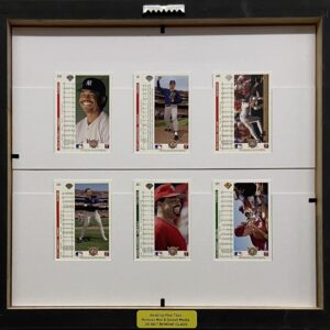 Trading Card Display Frame for 6 Cards- Black (White Trim) Mat and Black Frame