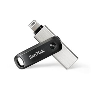 sandisk 256gb ixpand flash drive go for iphone and ipad - sdix60n-256g-gn6ne, black