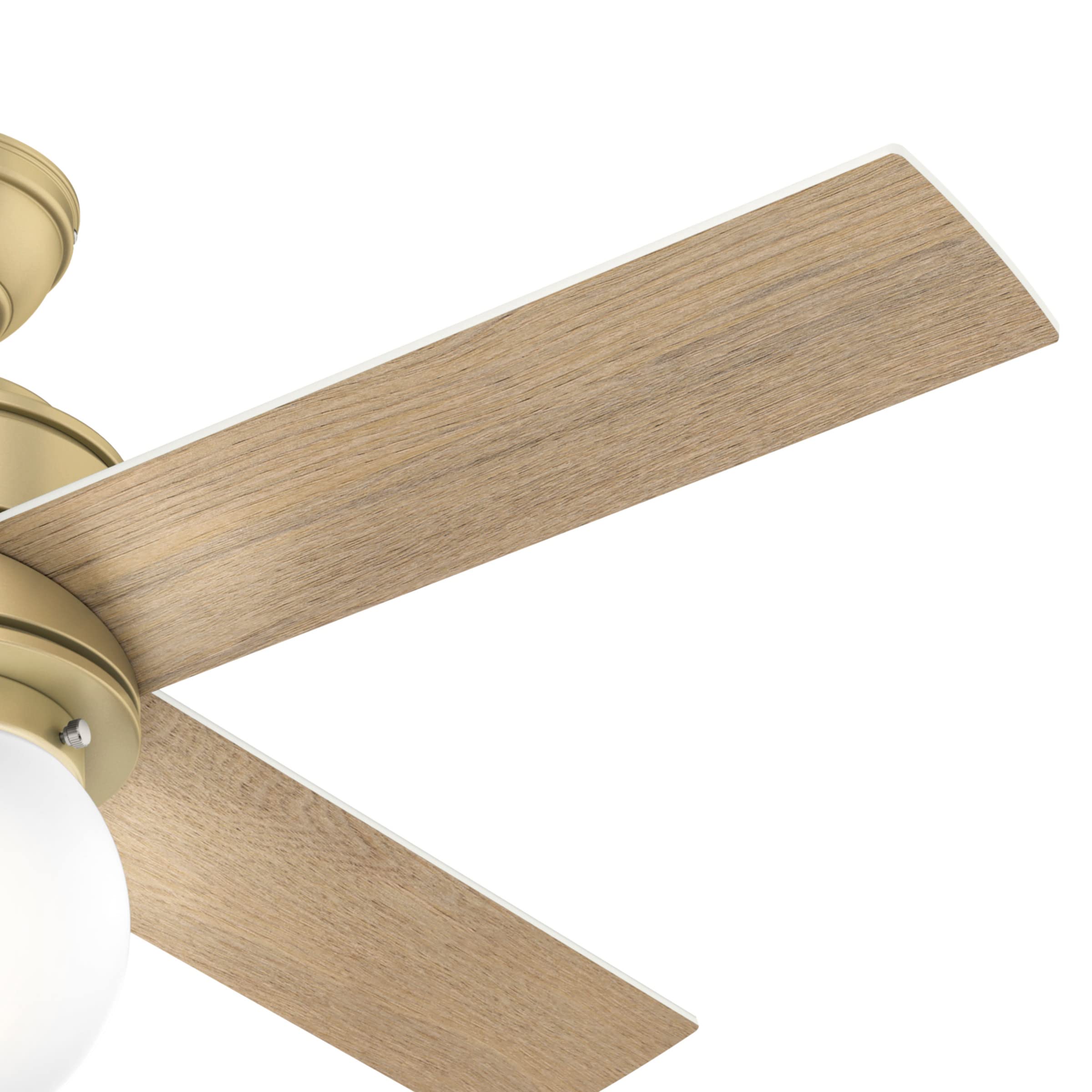 Hunter Fan Company 52313 Hunter Hepburn Indoor Ceiling Fan with LED Light and Wall Control, 44, Modern Brass Finish