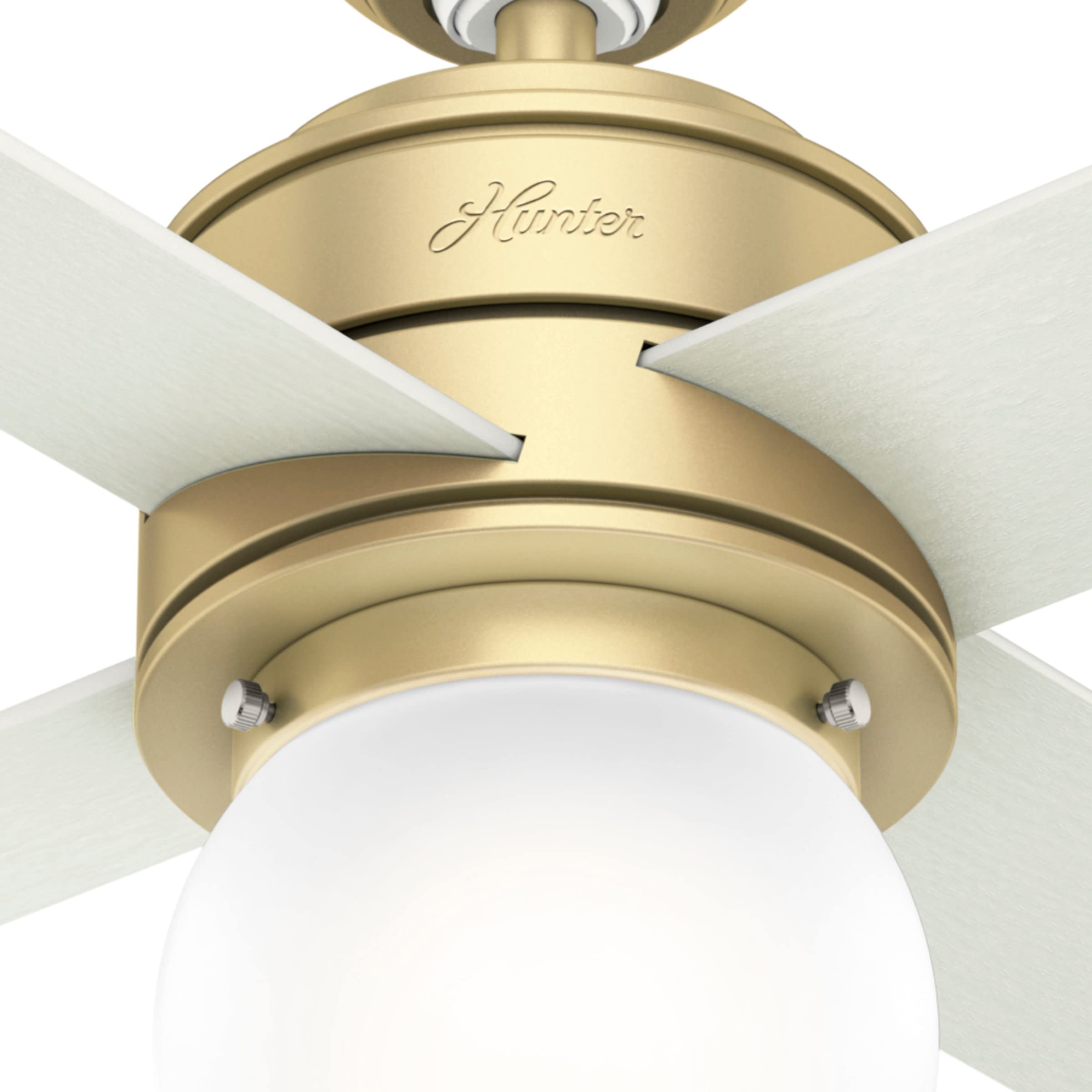 Hunter Fan Company 52313 Hunter Hepburn Indoor Ceiling Fan with LED Light and Wall Control, 44, Modern Brass Finish