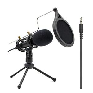 looyuan condenser recording microphone, 3.5mm plug mic for pc, broadcast microphone for singing, gaming, computer, desktop, laptop, mac windows, online chatting, podcast, skype, youtube