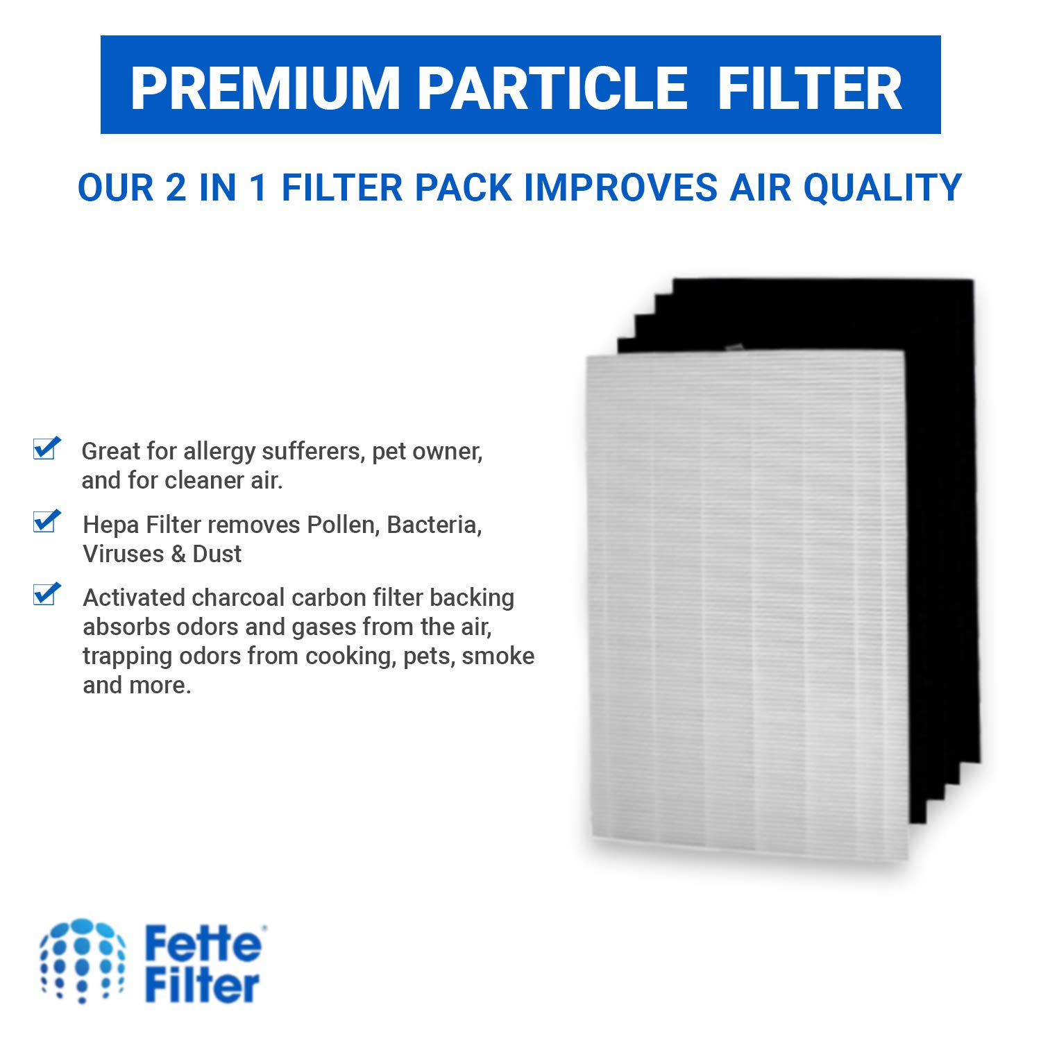 Fette Filter -Premium True Hepa H13 Filter Replacement Compatible with Fellowes AeraMax 190/200/DX55 Air Cleaner Purifiers Part # 9287101 9324101 (2-Hepa + 8 Carbon Filters)