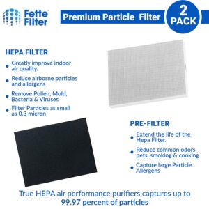 Fette Filter -Premium True Hepa H13 Filter Replacement Compatible with Fellowes AeraMax 190/200/DX55 Air Cleaner Purifiers Part # 9287101 9324101 (2-Hepa + 8 Carbon Filters)