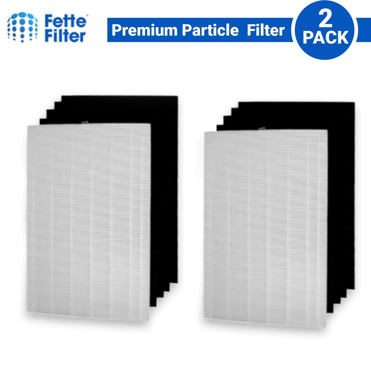 Fette Filter -Premium True Hepa H13 Filter Replacement Compatible with Fellowes AeraMax 190/200/DX55 Air Cleaner Purifiers Part # 9287101 9324101 (2-Hepa + 8 Carbon Filters)