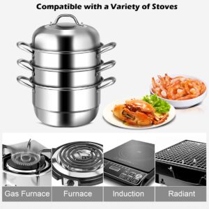 COSTWAY 4-Tier Steamer for Cooking, 11 Inch Stainless Steel Steamer Pot with Tempered Glass Lid, Handles on Both Sides, Includes 2 Steaming Septa, Dishwasher Safe, Ideal for Vegetable, Food, Kitchen