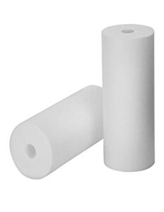 (package of 2) compatible dgd-2501 sediment water filters (10" x 4.5") (1)