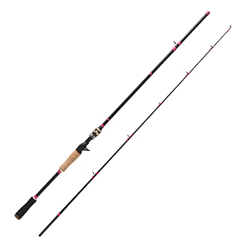 LurEra Catfish Rod 2 Pieces Casting Rod for Catfishing