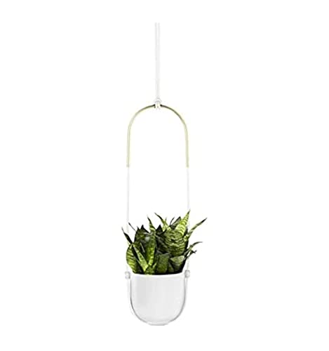 Umbra Bolo Hanging Planter