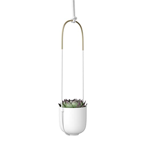 Umbra Bolo Hanging Planter