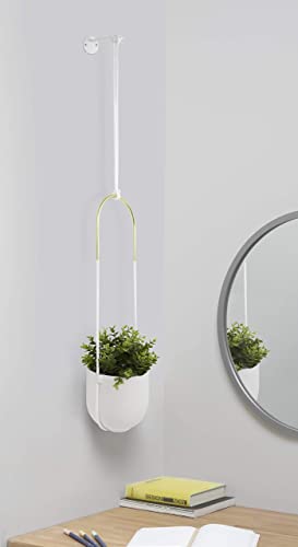 Umbra Bolo Hanging Planter