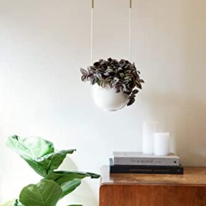 Umbra Bolo Hanging Planter