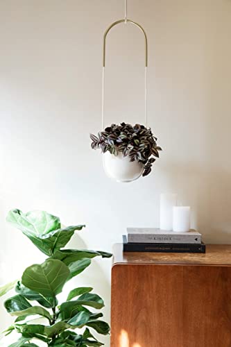 Umbra Bolo Hanging Planter